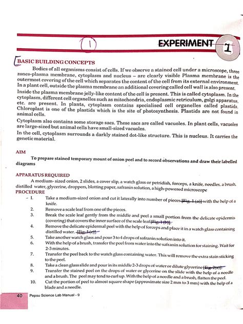 Experiment 1 1 Pdf