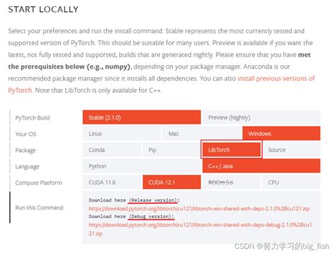 libtorch使用踩坑指南 ubuntu libtorch csdn博客