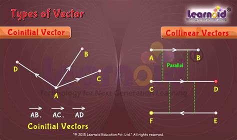 Class 12 Types Of Vectors Youtube