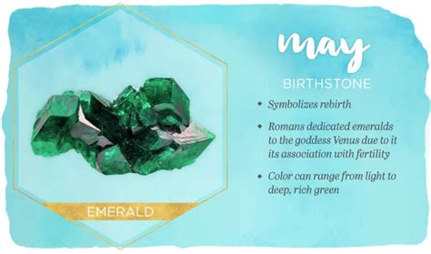 May Birth Flower Lily Of The Valley