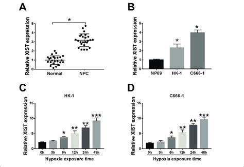 Xist Was Upregulated In Npc And Hypoxia Enhanced Xist Expression In Npc
