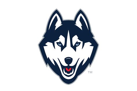 Uconn Huskies Logo And Symbol Meaning History Png Brand