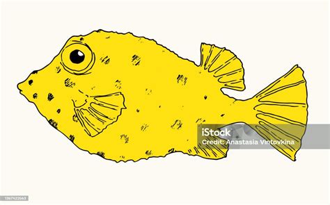 노란 물고기의 그림 밝은 면에 검은 색 선이 손으로 그린 열대 수족관 물고기의 바디 큐브 메뉴 디자인 템플릿 레이블 간판을 위한 분리된 바다 물고기 스케치 요소 어항에 대한