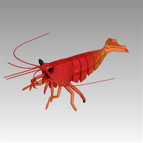 🦐 Articulated Flexi Shrimp Print In Place For Desk Aquarium Decor