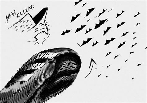 The Predator Freak Cult Kits