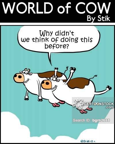 Cartoon Cow Memes