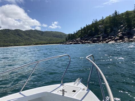 Seagrass Ecology Lab Seagrassecology Twitter