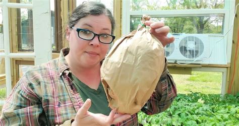 How To Make A Diy Fake Wasp Nest How To Make A Diy Fake Wasp Nest