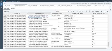 Duplicate Activities Causing Query To Fail When Trying To Delete