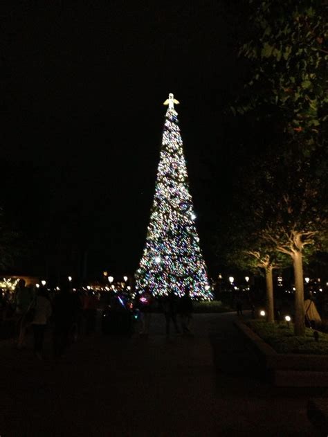 The Epcot Tree Is Spectacular At Night Disney Holiday Epcot Holiday Fun