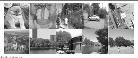 Figure 1 From Efficient Image Denoising Technique Based On Modified