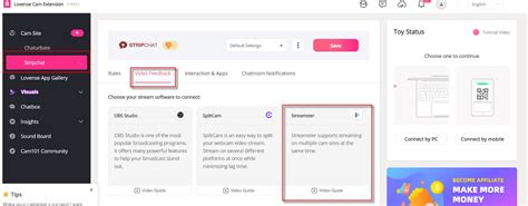 How To Add Lovense Overlay To The Live Stream Streamster