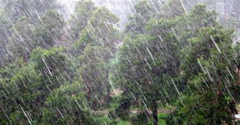 Чому йде дощ