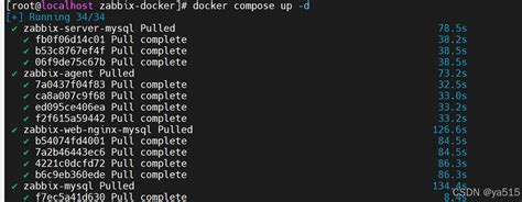 Zabbix Docker安装 Docker安装zabbix Csdn博客