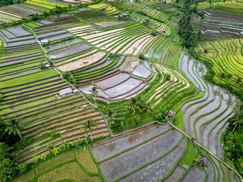 Global Methane Hub The Audacious Project