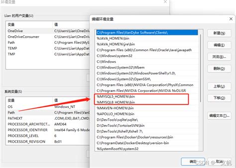 windows 同时安装 mysql5 和 mysql8 版本 mysql 8 0 和5 0可以同时安装吗 csdn博客