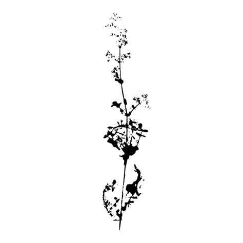 Premium Vector Vector Botanical Detail