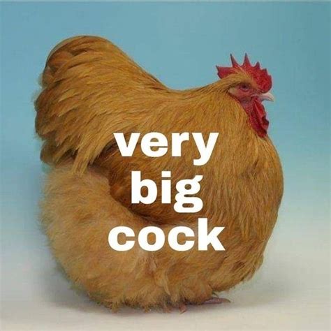 Jaddy On Twitter Heres My Big Cock Btw