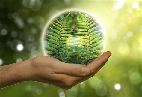 Switzerland 6 Eu Members Agree To Decarbonize Power Generation Azertac