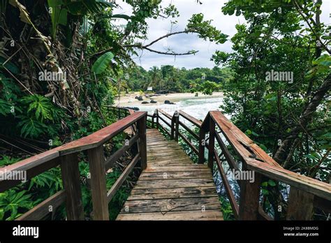 Panama Rainforest Bocas Del Toro Bastimentos Exotic Landscape