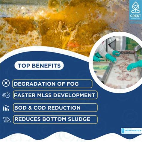 White Dairy And Milk Effluent Treatment Microbes At Rs 900 In Coimbatore