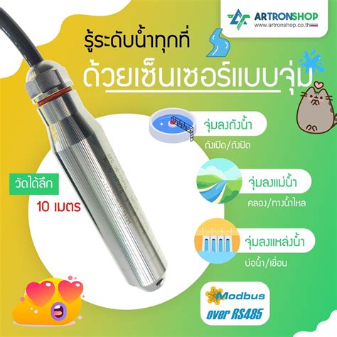 เซ็นเซอร์วัดระดับน้ำแบบจุ่ม 10 เมตร Modbus Rs487 Submersible Water