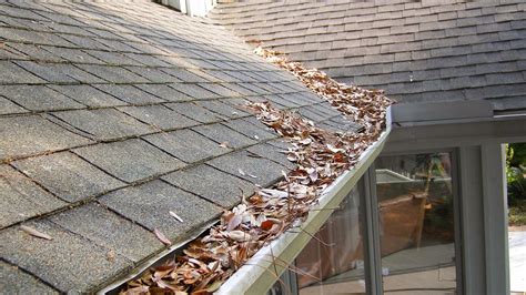 gutter foam problems and a better gutter guard insert gutterbrush