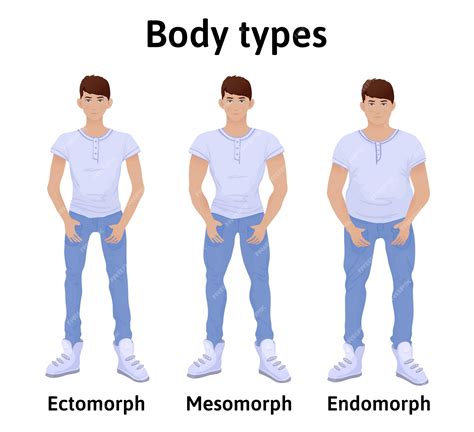 Endomorph Body Type Male