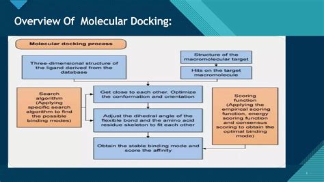 Molecular Dockingpptx