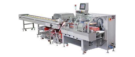 Automatic Packaging Machine Automatic Packaging System Ruipuhua