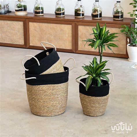 طقم سلال خوص طولي اسود متجر نباتاتي