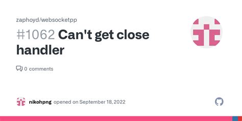 Can T Get Close Handler Issue 1062 Zaphoyd Websocketpp GitHub