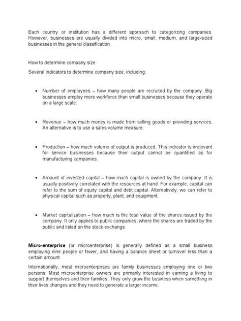 Micro Small Medium And Large Companies All Summaries Pdf