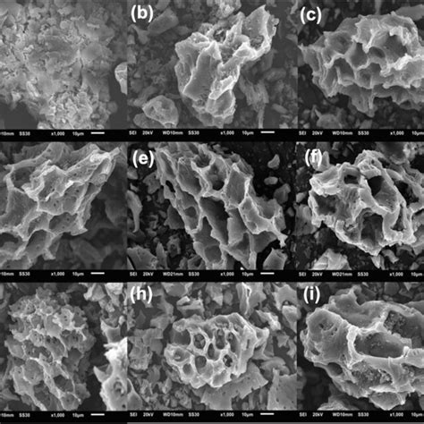 SEM Images Of A ESS B BC 400 C BC 500 D BC 600 E BC 700 F BC 800 Download Scientific