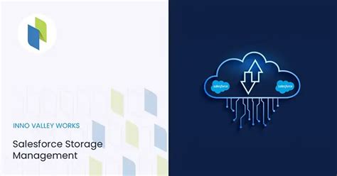 Salesforce Storage Management Inno Valley Works Salesforce Storage Management Inno Valley Works