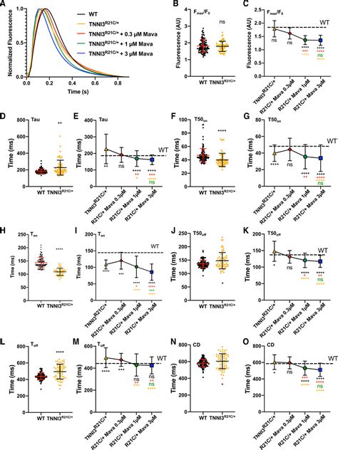 Caltrack High Throughput Automated Calcium Transient Analysis In Cardiomyocytes Circulation