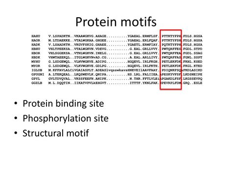 Ppt Motif Search And Motif Discovery Powerpoint Presentation Free