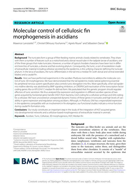 Pdf Molecular Control Of Cellulosic Fin Morphogenesis In Ascidians
