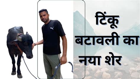 नय शर झट टक बटवल क रस जत चक ह YouTube