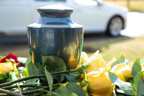 Navigating Online Affordable Cremation Services Top 6 Nationwide Cremation Options Dfs Memorials