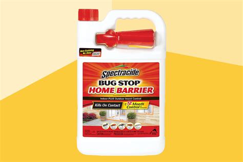 10 Best Roach Killers 2023