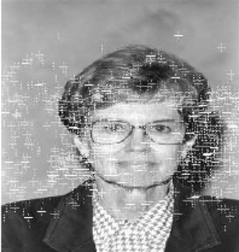 Sift Feature Points Download Scientific Diagram