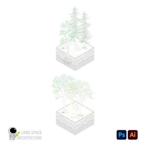 Trees Elevation Vectors And Brushes Landscape Architecture