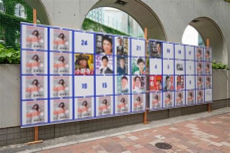 写真ギャラリー4枚め｜【カオスな選挙ポスター】ほぼ全裸女性も登場し「珍獣博覧会」状態公職選挙法の限界、どう規制する？ 【やさしく解説】選挙