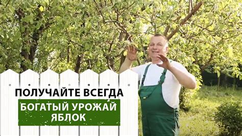 Самый ЭФФЕКТИВНЫЙ способ обработки яблони от болезней - YouTube