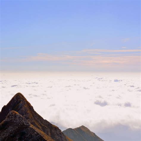 ‎꿀잠 수면음악 숙면에서 아침명상까지 충분하고 질좋은 수면의 깊이를 위한 포근한 꿈속의 피아노자장가 14 낮잠 Single Album By 클래식 피아노자장가