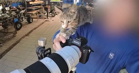 1200 630 Webp1728891671