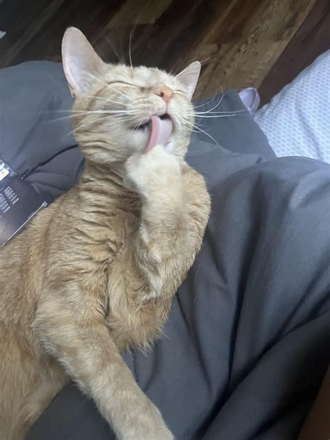 My Ugly Turd Of A Daughter Whom I Hate Please Bully Her She Has Become Too Egotistical R