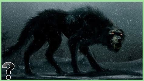 What If Hellhounds Were Real Youtube