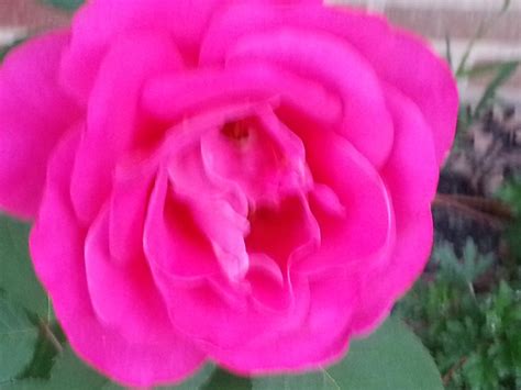 사랑하는 나의 당신이여